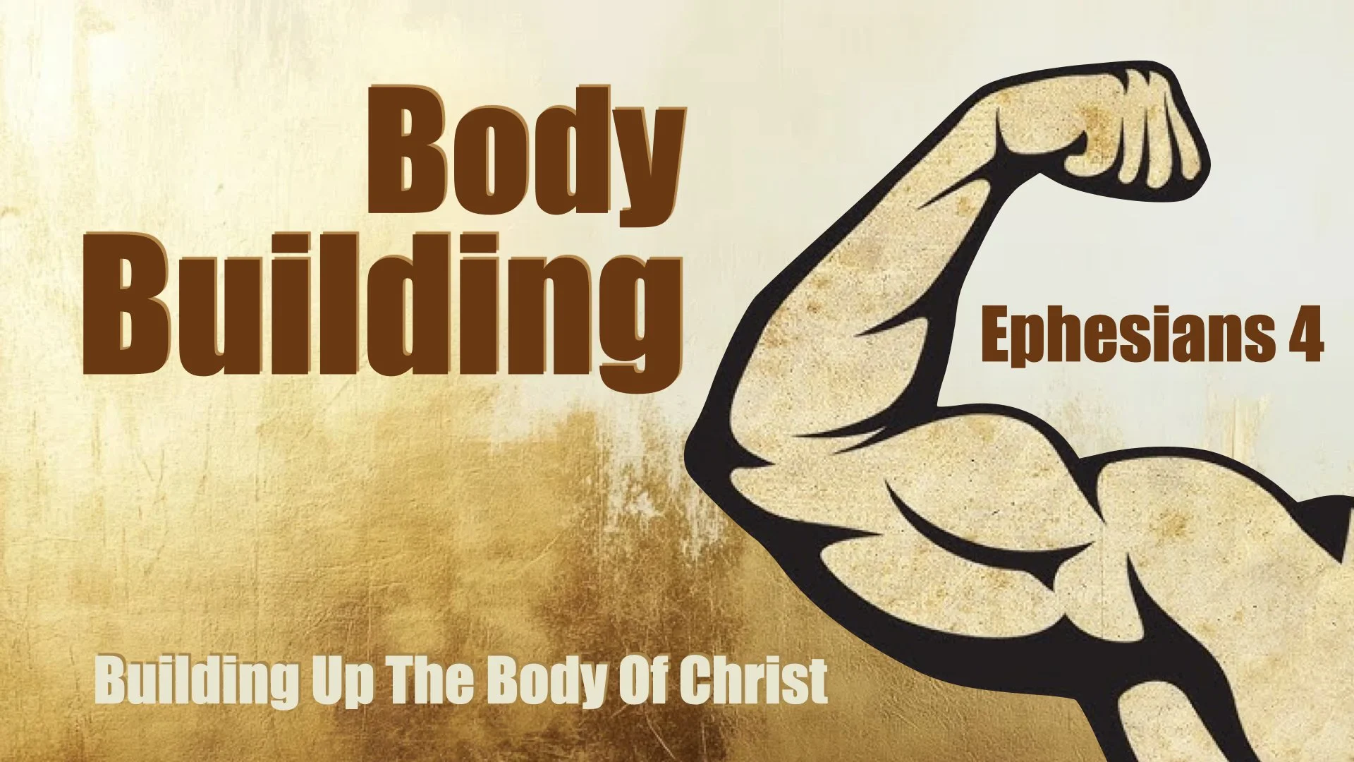 Clear Lake Evangelical Free Church