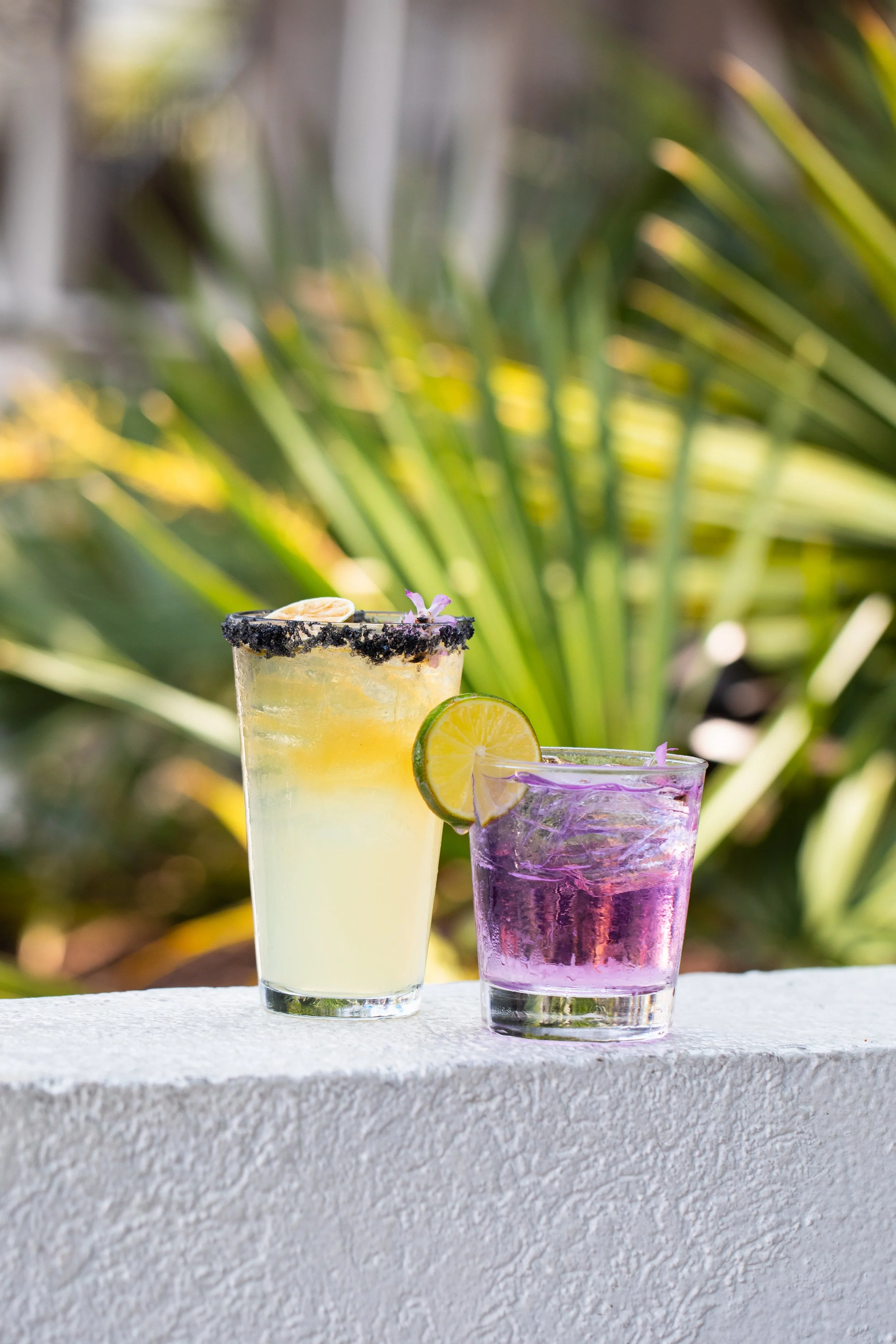 Bluewater Dining - Cocktails — Brittany Castillo Photography