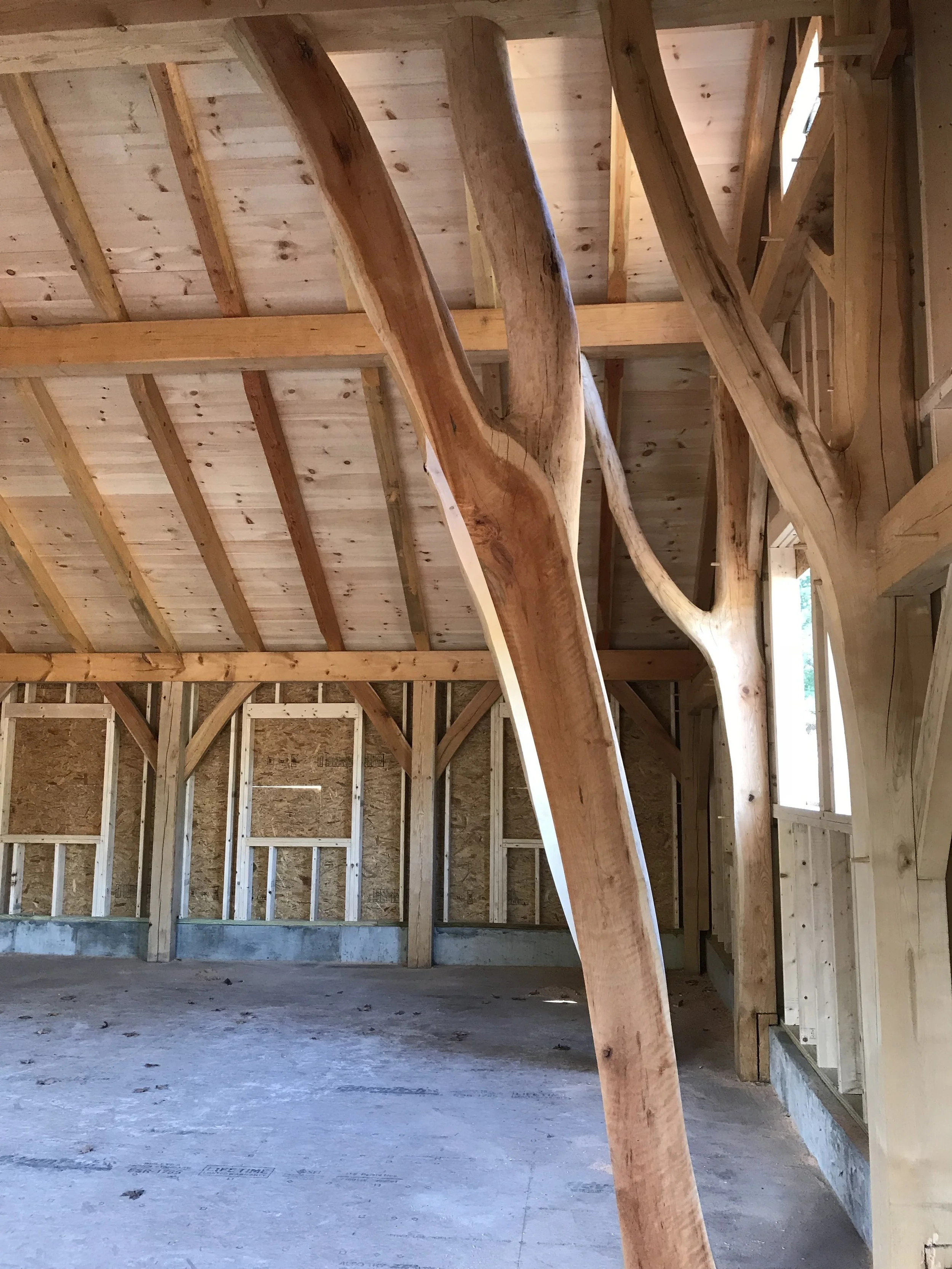 From the Field — Uncarved Block Inc.