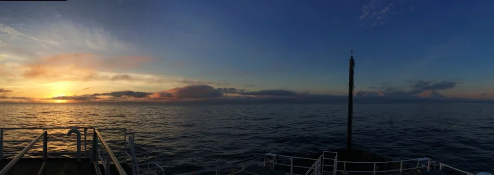 \Resources — KiM MARTiNi PhD