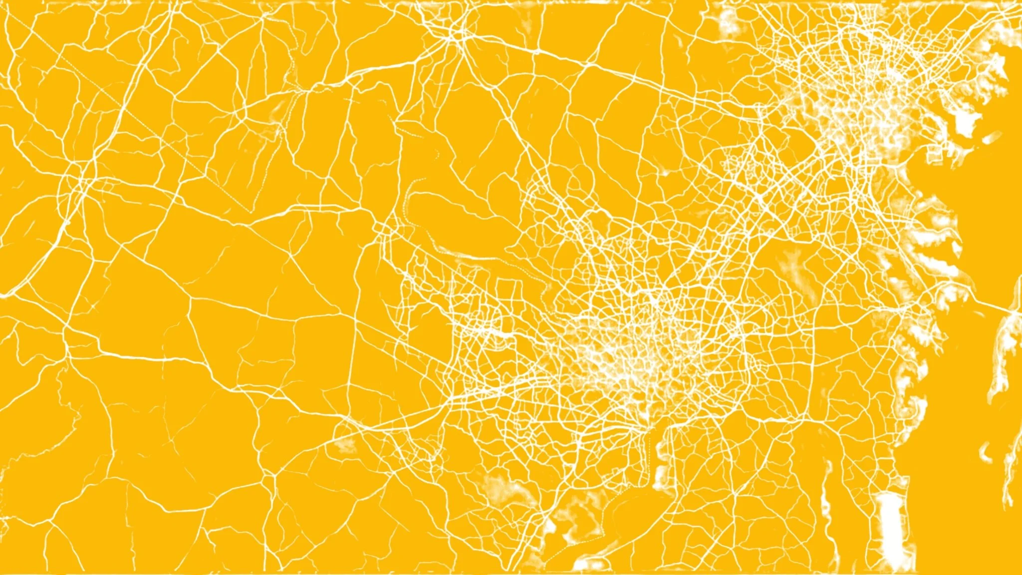 Meet The CWC Partners | Leaders committed to CWC's vision, values ...