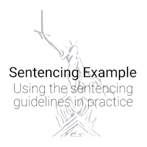 Sentencing Guidelines Step 1 - Culpability and Harm — Defence-Barrister ...