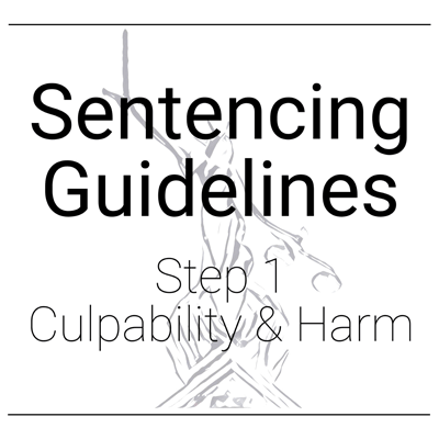 Sentencing Guidelines Step 1 - Culpability and Harm — Defence-Barrister ...