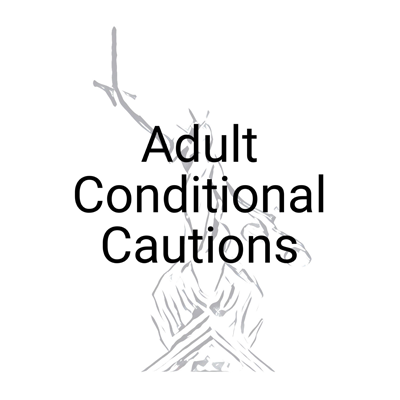 Cautions and Conditional Cautions — Defence-Barrister.co.uk