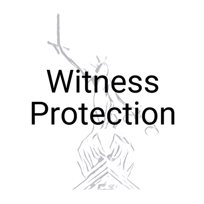 Witness Evidence and Questioning — Defence-Barrister.co.uk