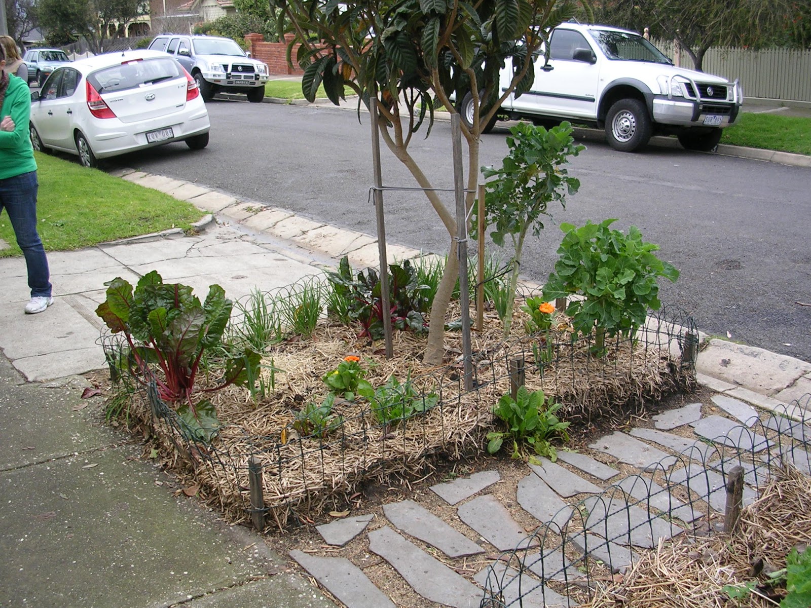 Farming the footpath — Permaculture Northern Beaches