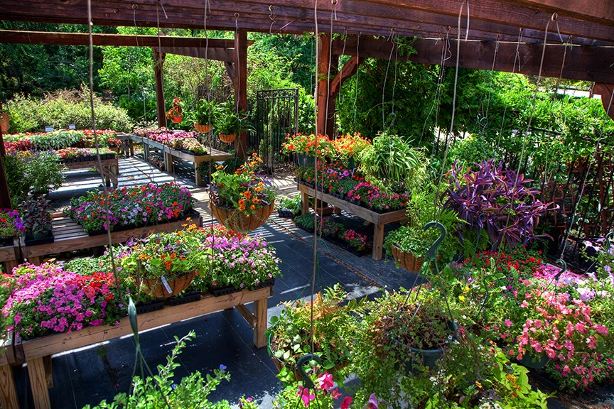Your Destination Garden Center — Blooming Colors Nursery