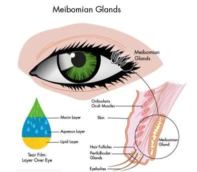 What We Do — Shamim Eye Care of Central New Jersey