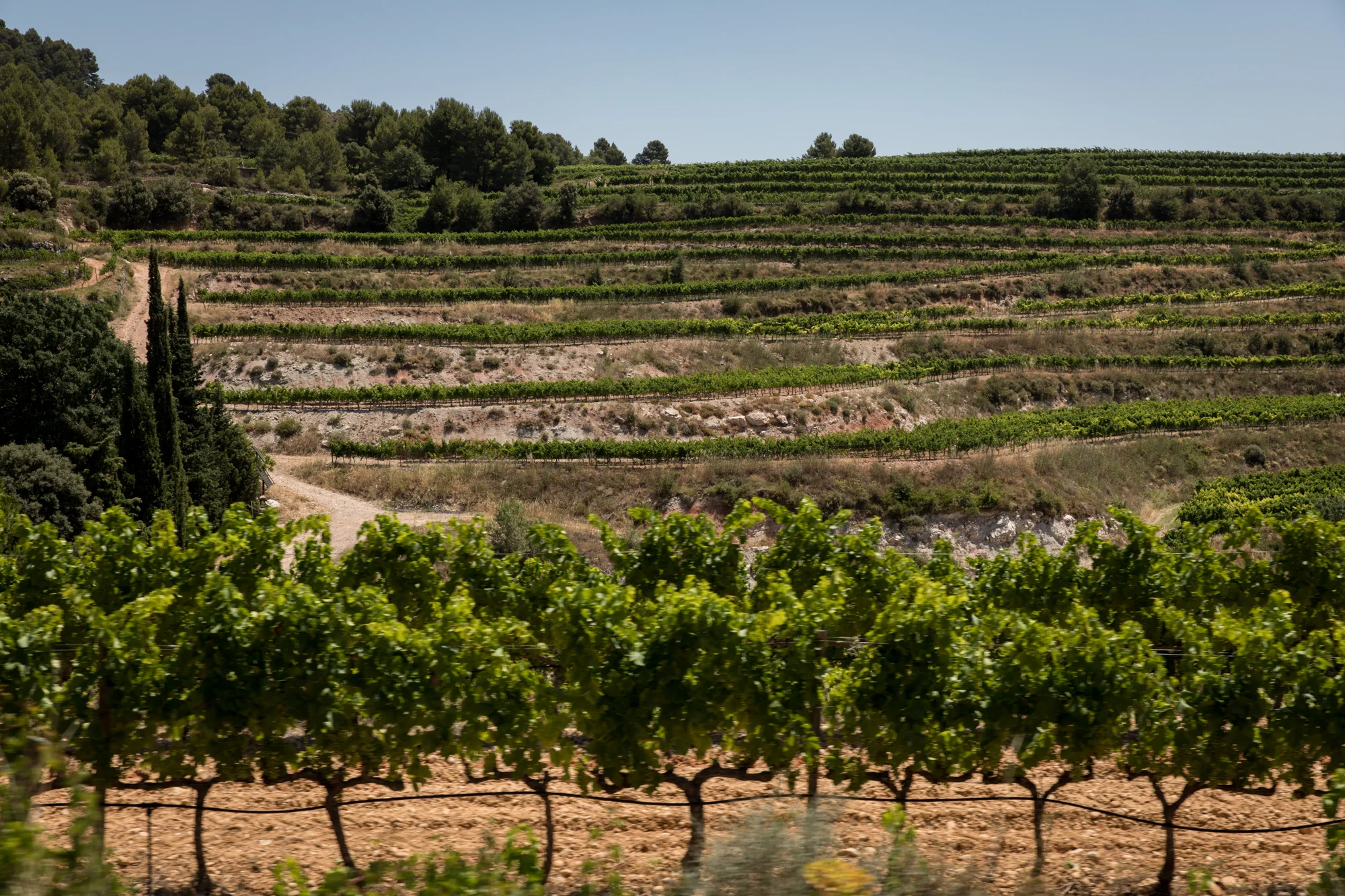 PRIORAT — MOOD WINE