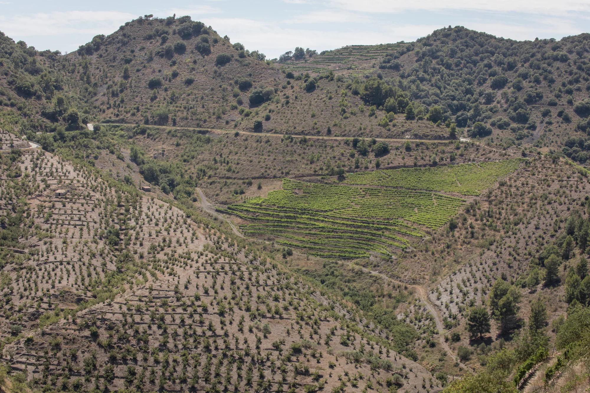 PRIORAT — MOOD WINE