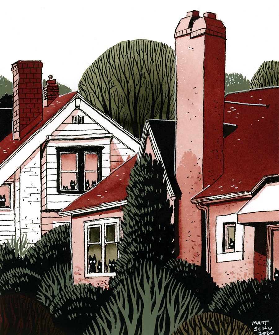 Matt Schu — The CAT Agency