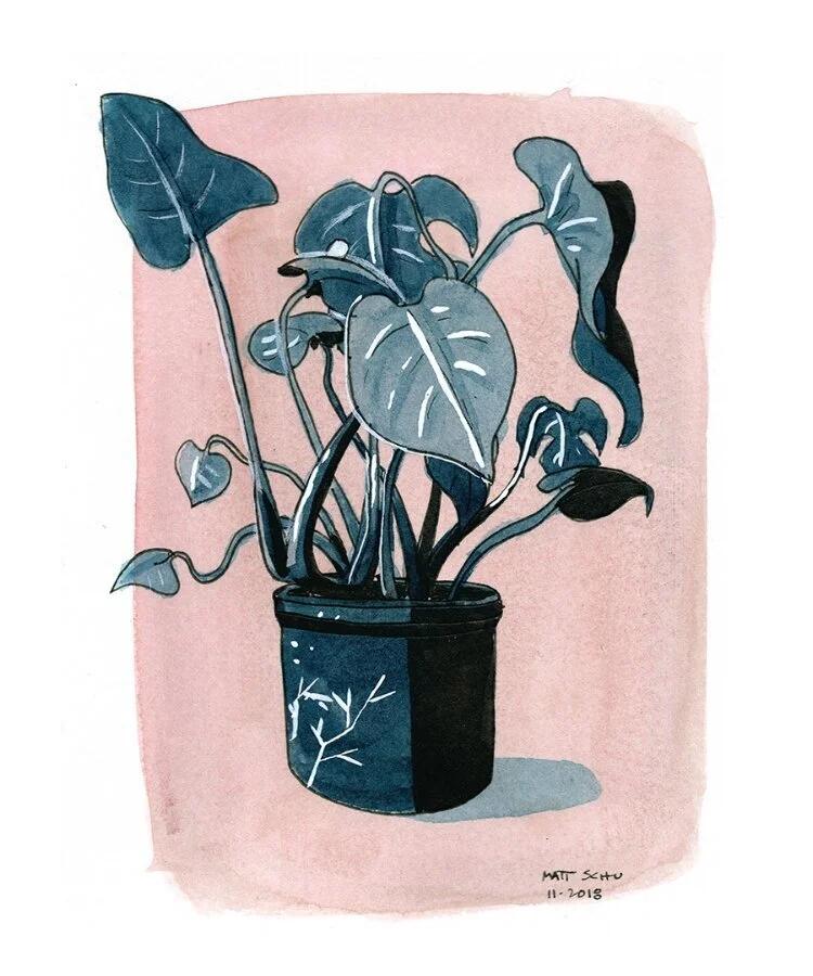 Matt Schu — The CAT Agency