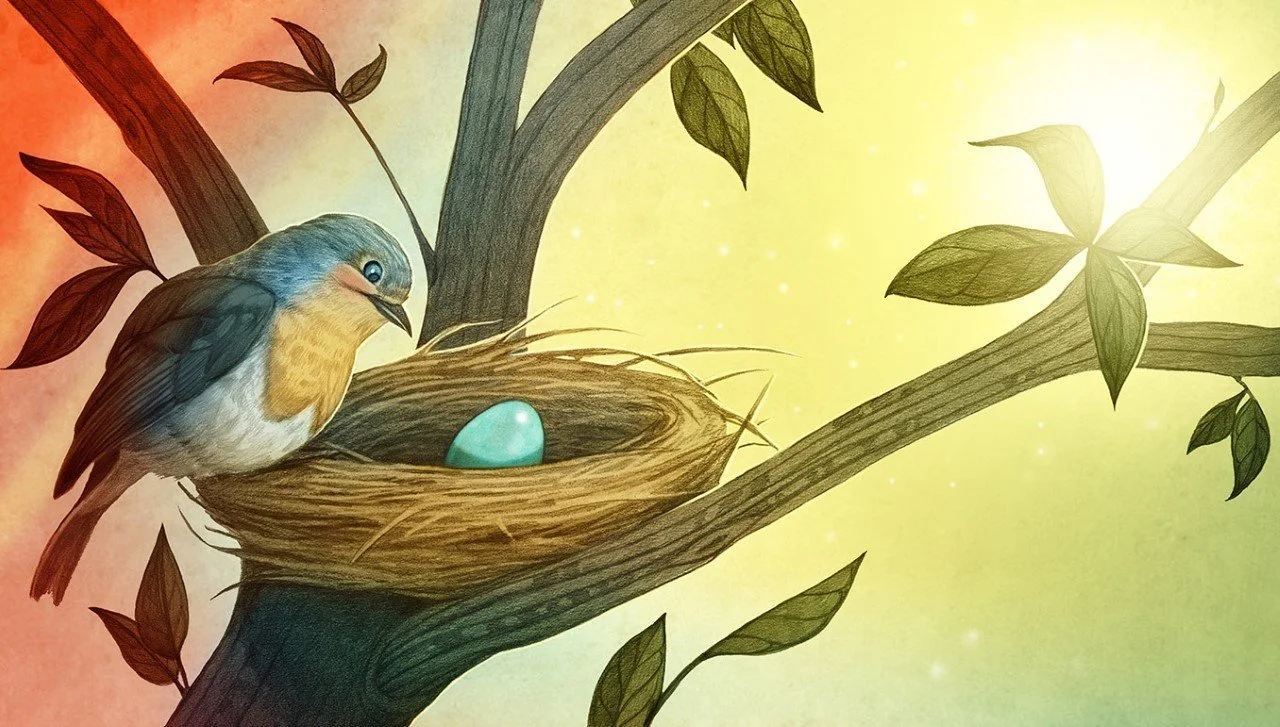 Lisa FIELDS — The CAT Agency