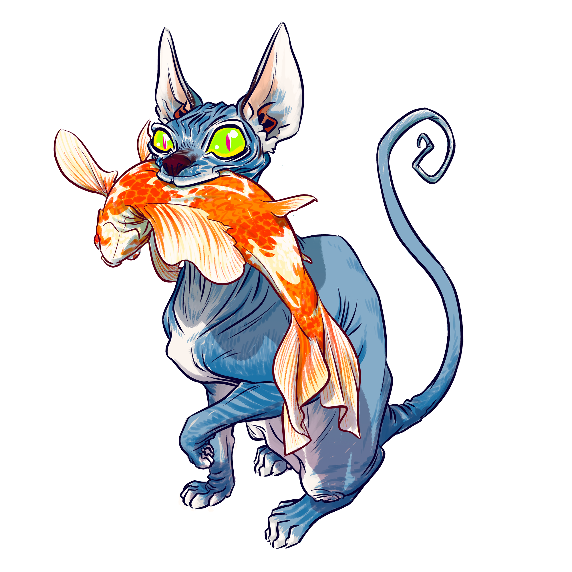 Nathan Fox — The CAT Agency