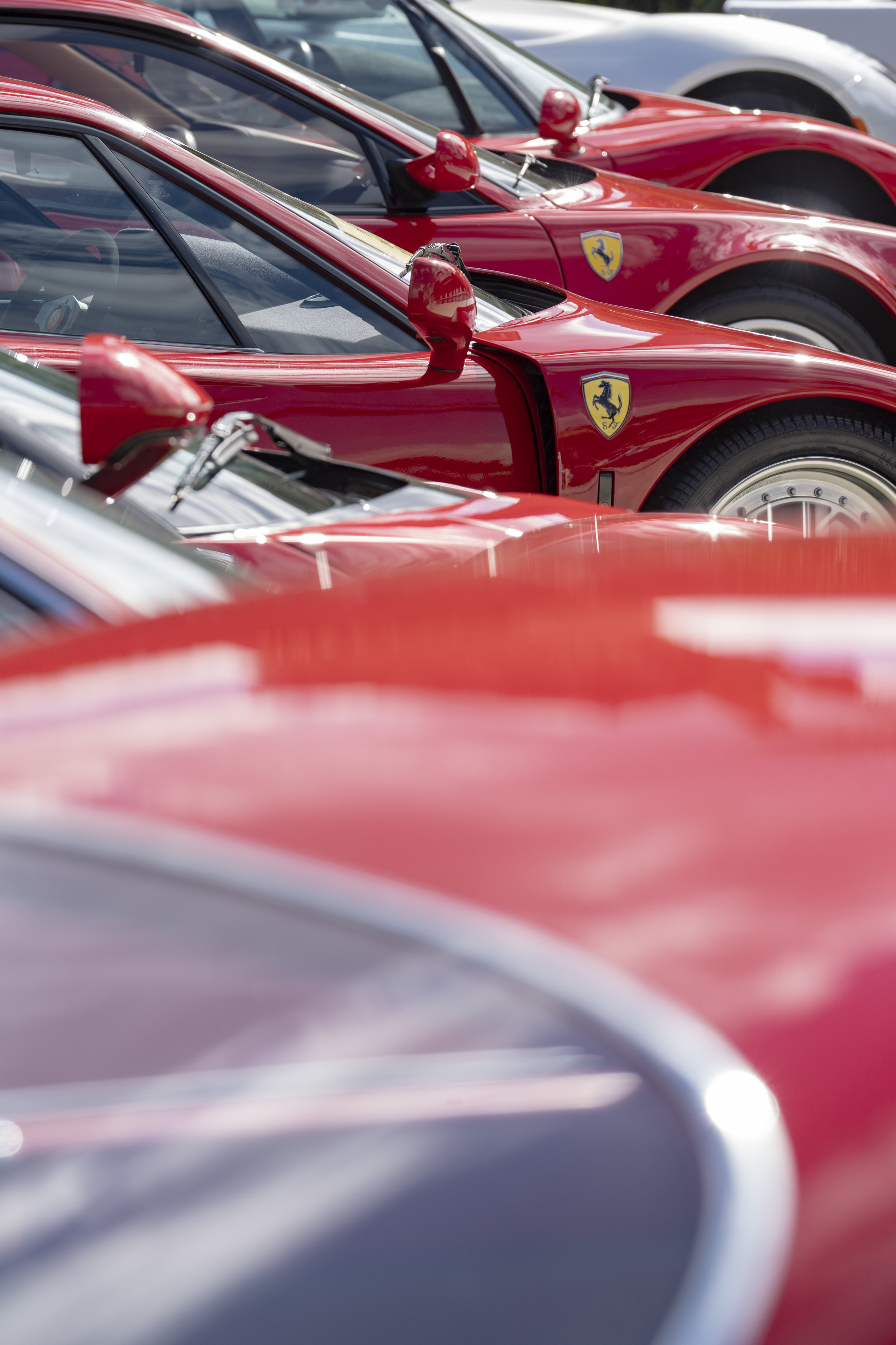 Historic Display — The Palm Event