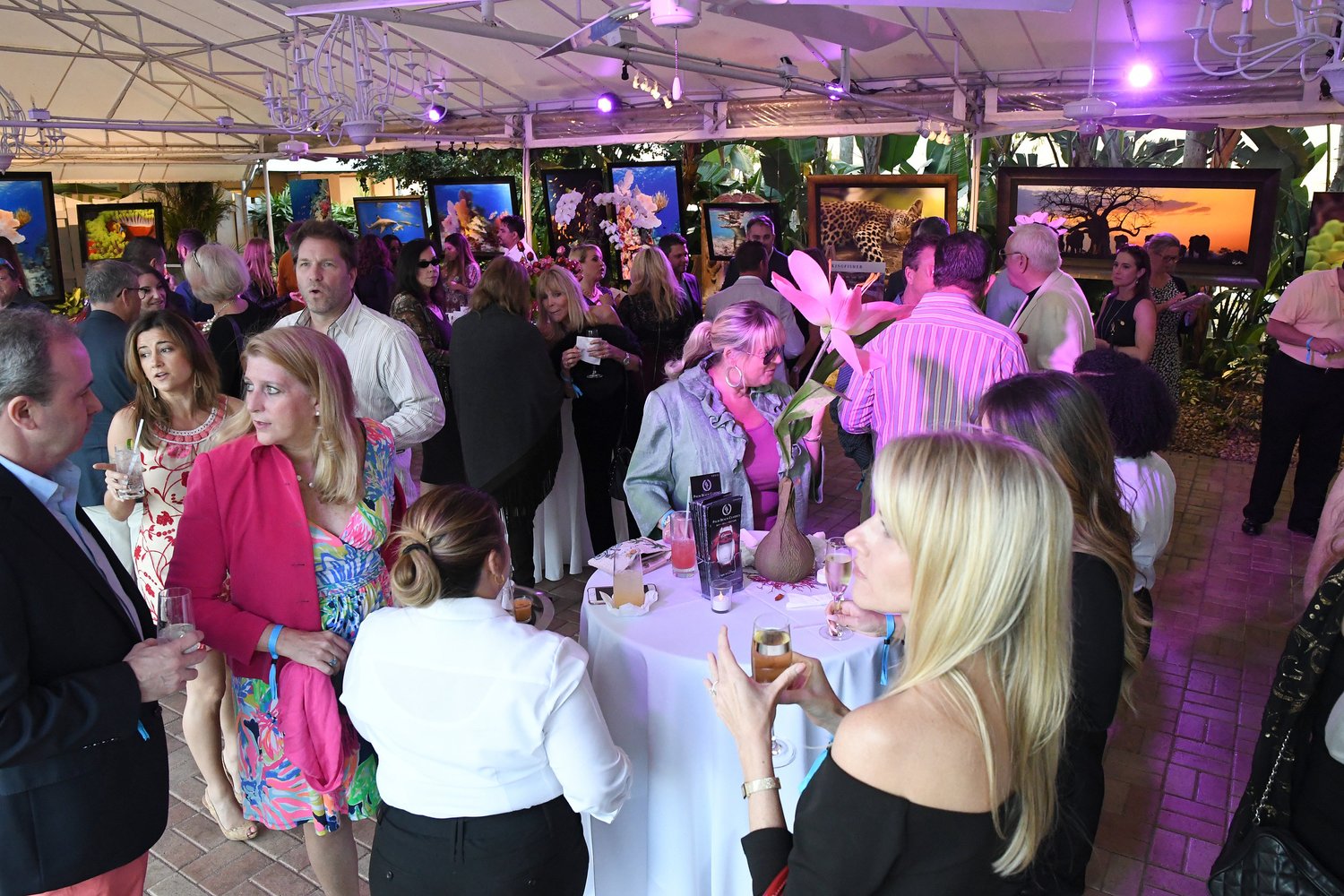 Gallery — The Palm Event