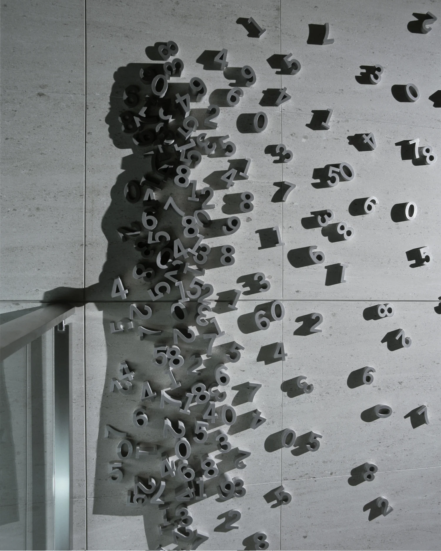 Light & Shadow — Kumi Yamashita