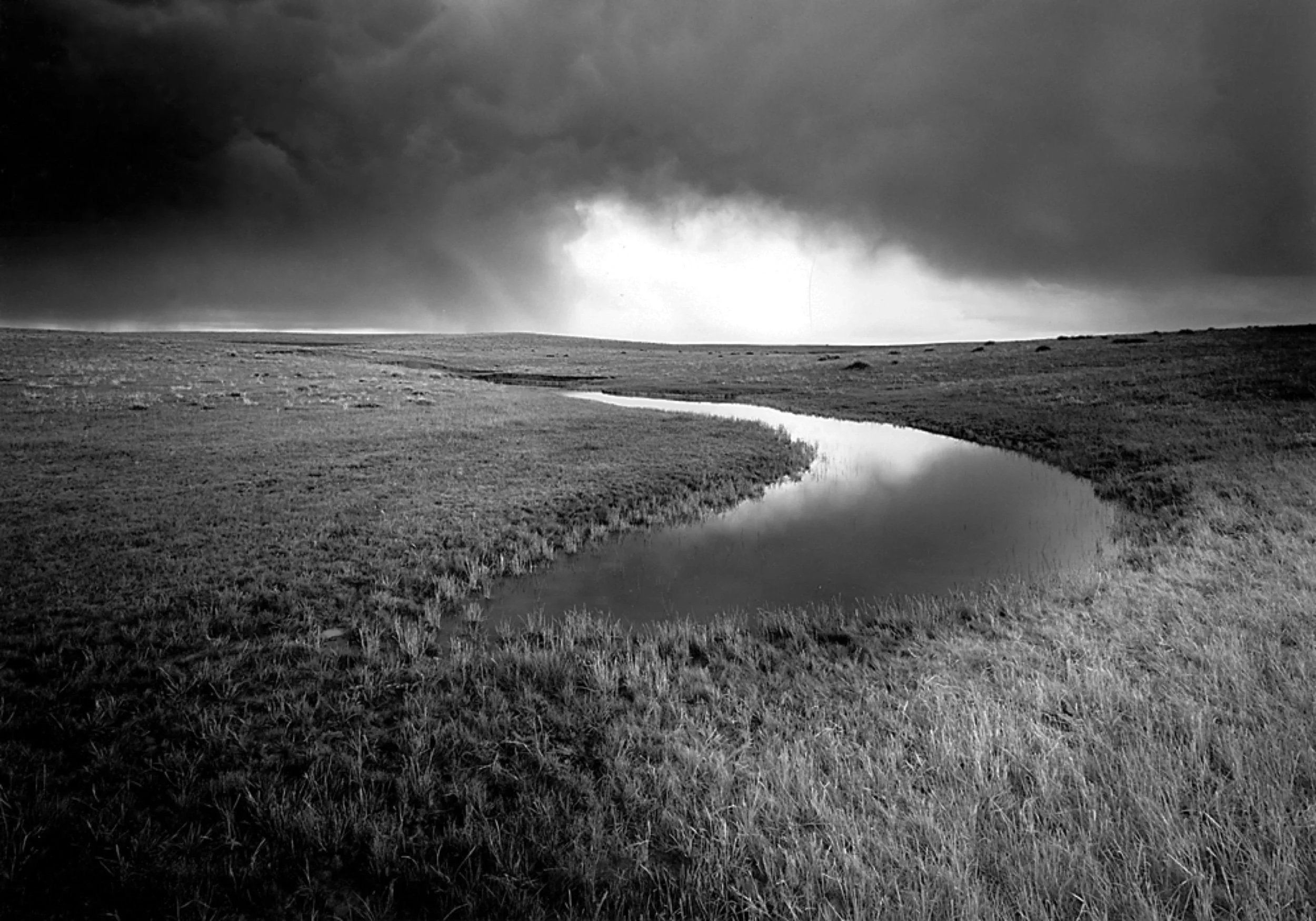 Print of The Month — Gifford Ewing Photography