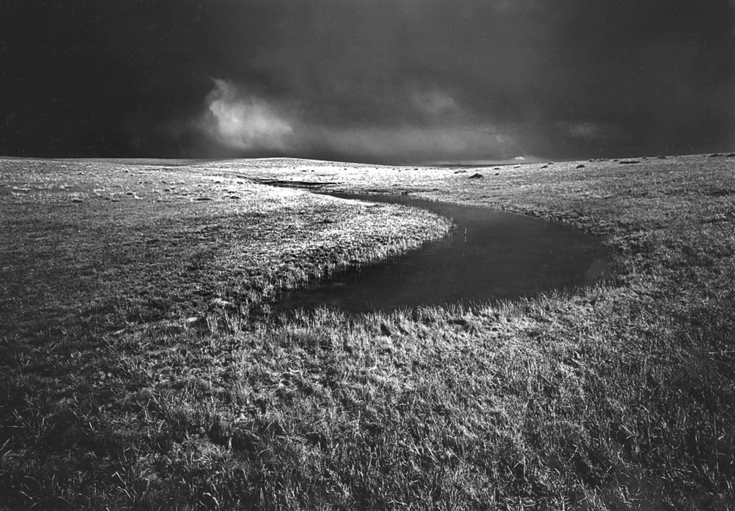 Print of The Month — Gifford Ewing Photography