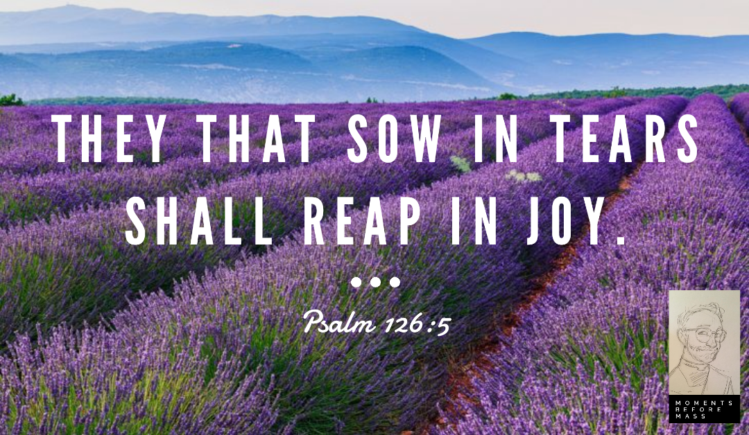 Don't fall for it — Moments Before Mass