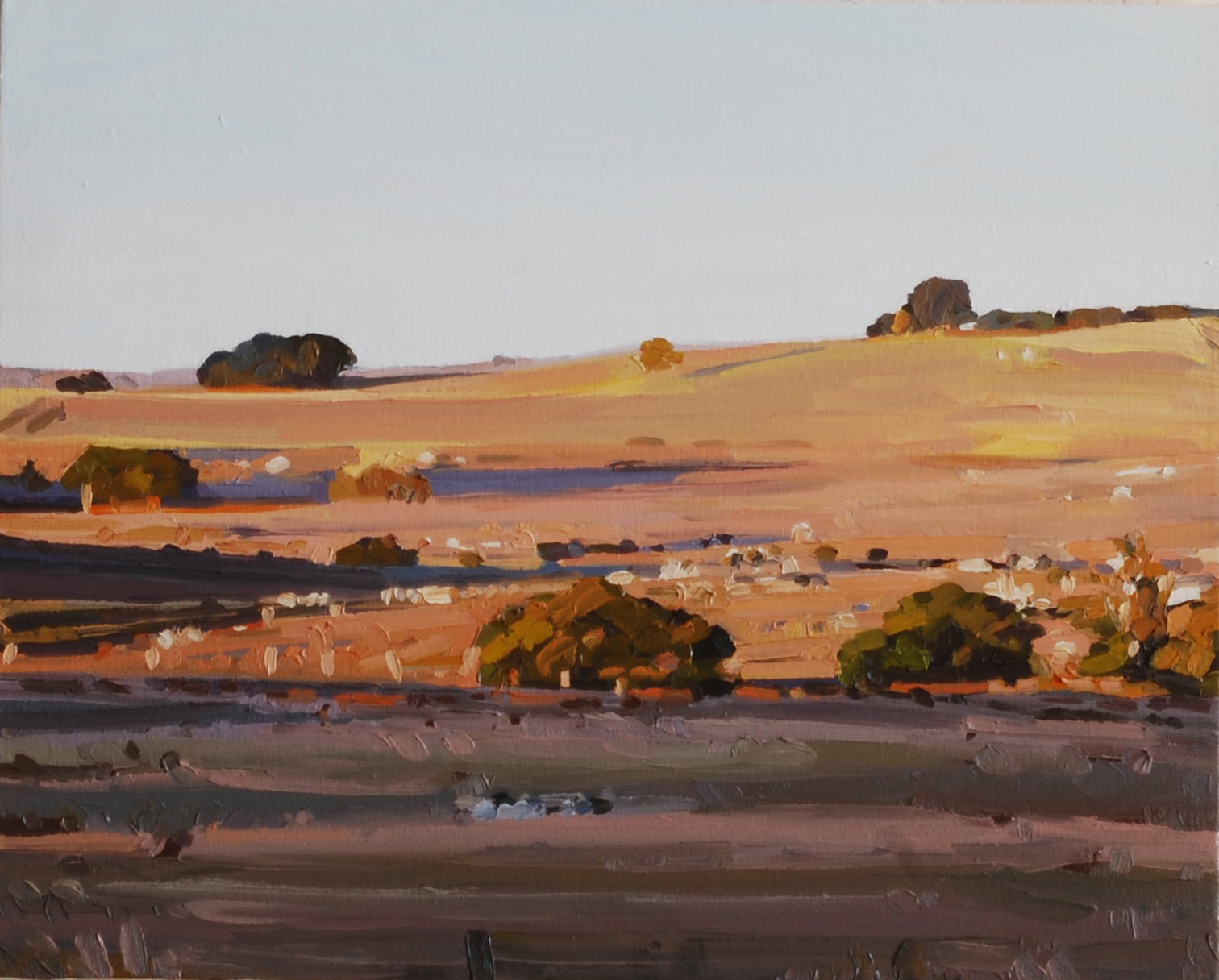 KATE STEVENS — NANCY SEVER | GALLERY