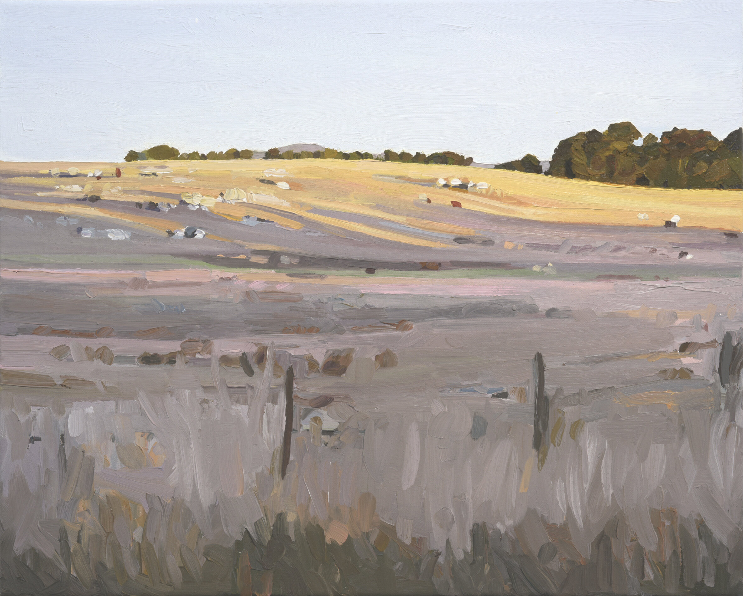 ARTISTS — NANCY SEVER | GALLERY