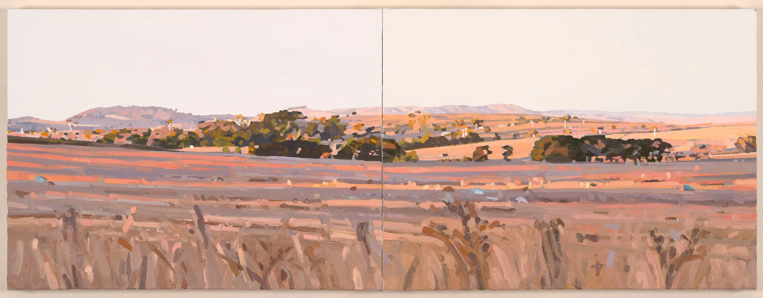 CURRENT EXHIBITIONS — NANCY SEVER | GALLERY