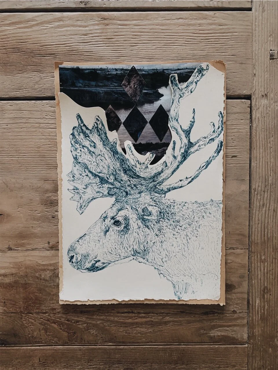 Caribou Animal Drawing