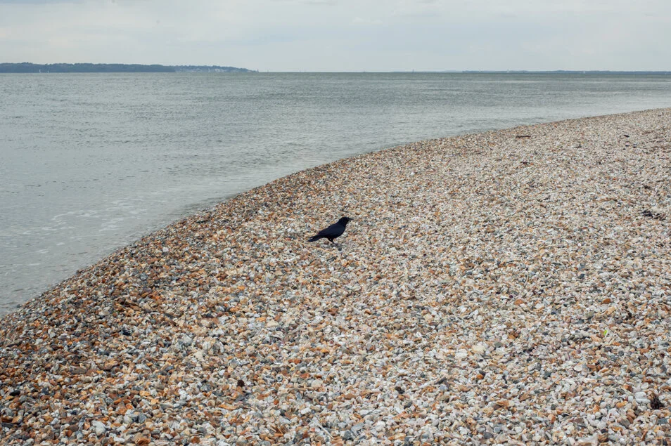Infrastructure- Stokes Bay- Browndown Ranges. — Edgeland Observer.