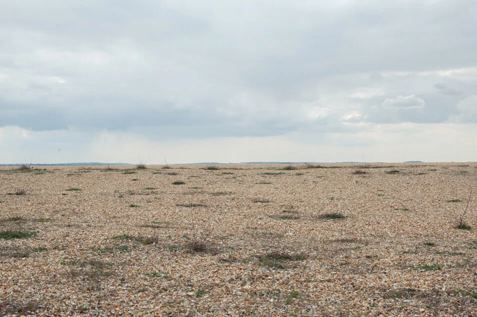 Infrastructure- Stokes Bay- Browndown Ranges. — Edgeland Observer.