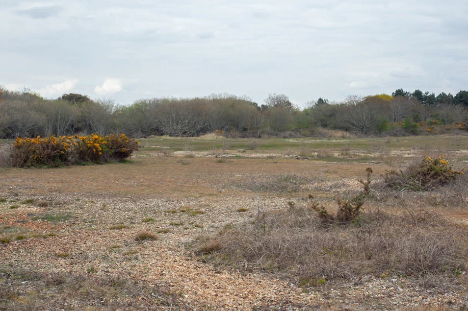 Infrastructure- Stokes Bay- Browndown Ranges. — Edgeland Observer.