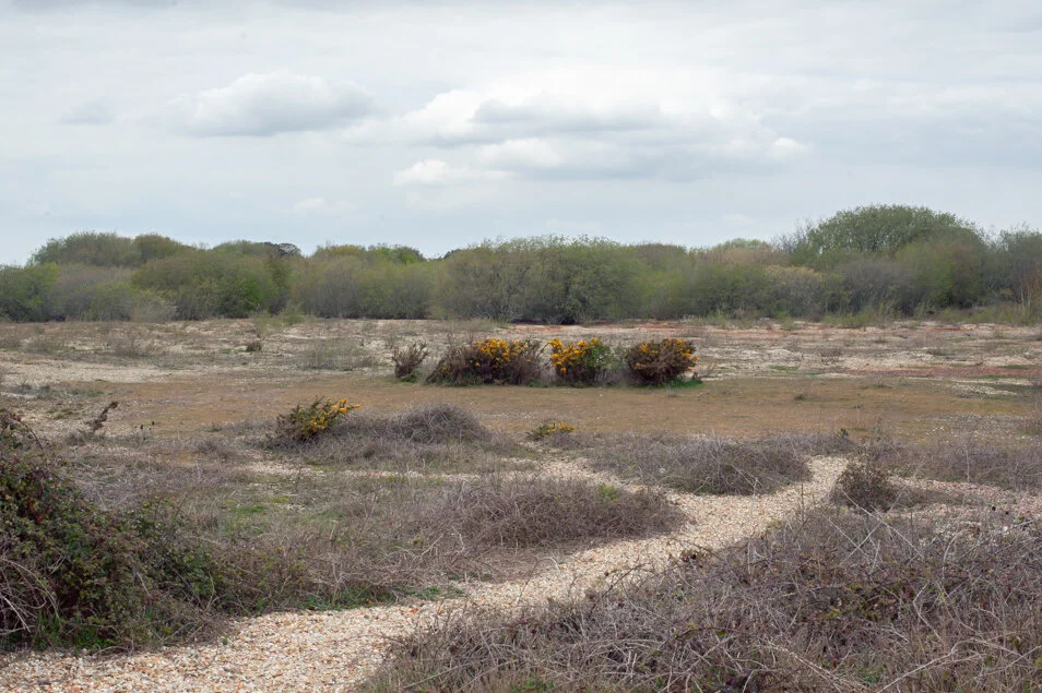 Infrastructure- Stokes Bay- Browndown Ranges. — Edgeland Observer.