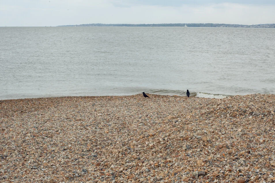 Infrastructure- Stokes Bay- Browndown Ranges. — Edgeland Observer.