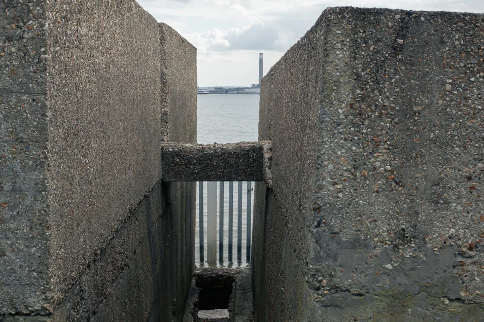 Walks- Hamble Common-Hampshire. — Edgeland Observer.