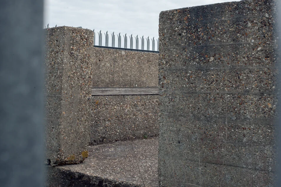 Walks- Hamble Common-Hampshire. — Edgeland Observer.