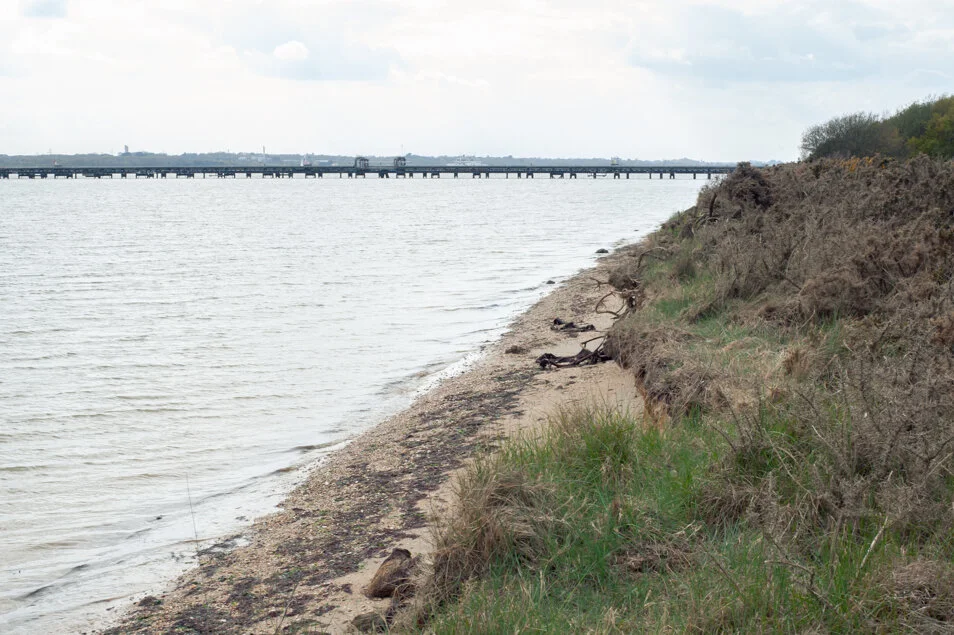 Walks- Hamble Common-Hampshire. — Edgeland Observer.