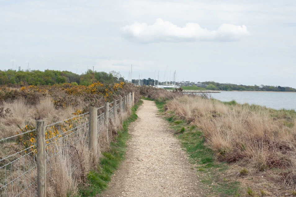 Walks- Hamble Common-Hampshire. — Edgeland Observer.