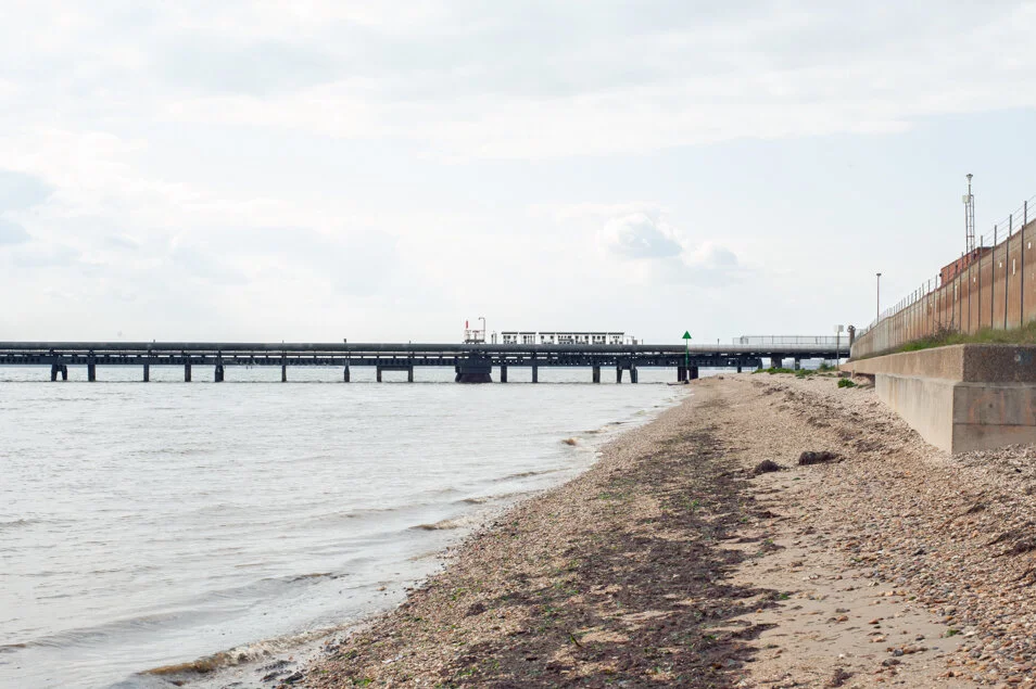 Walks- Hamble Common-Hampshire. — Edgeland Observer.