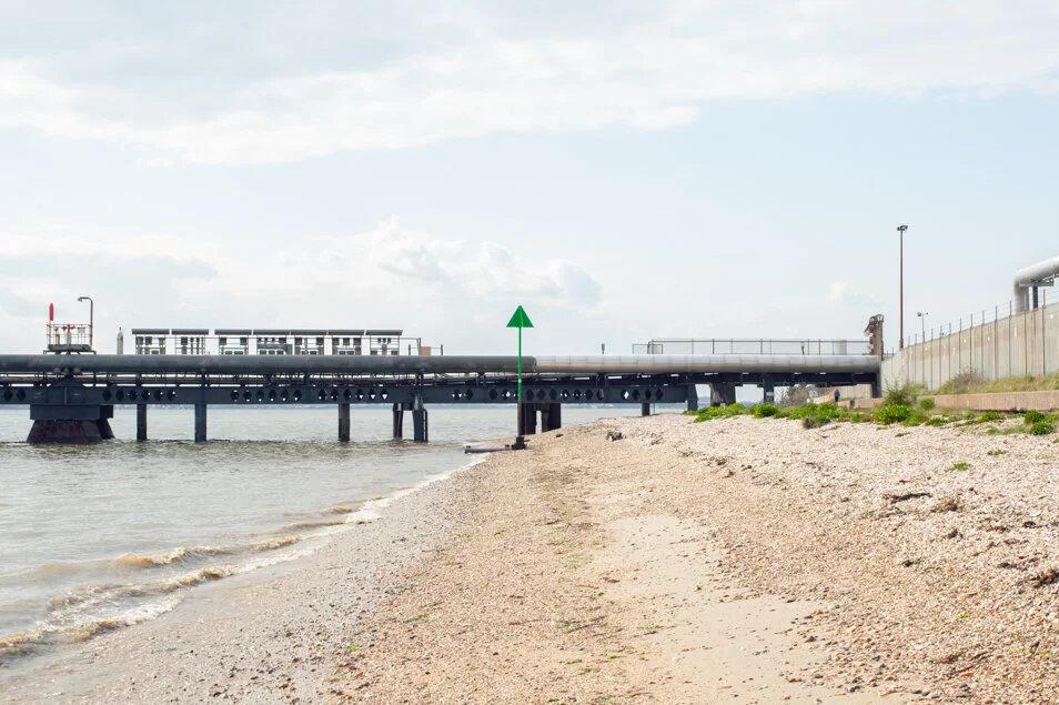 Walks- Hamble Common-Hampshire. — Edgeland Observer.