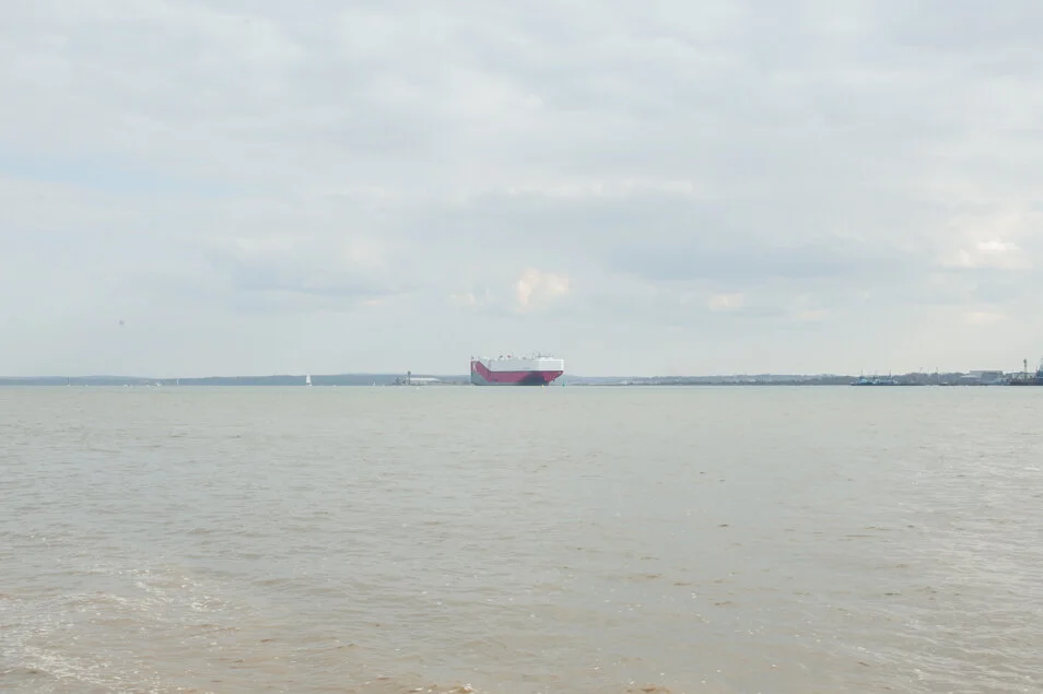 Walks- Hamble Common-Hampshire. — Edgeland Observer.