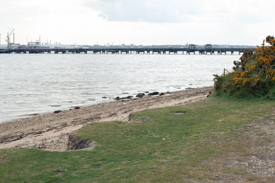 Walks- Hamble Common-Hampshire. — Edgeland Observer.