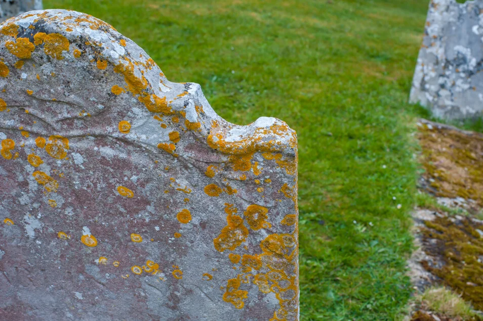 Churches- St Mary's Church-Chidham-West Sussex. — Edgeland Observer.
