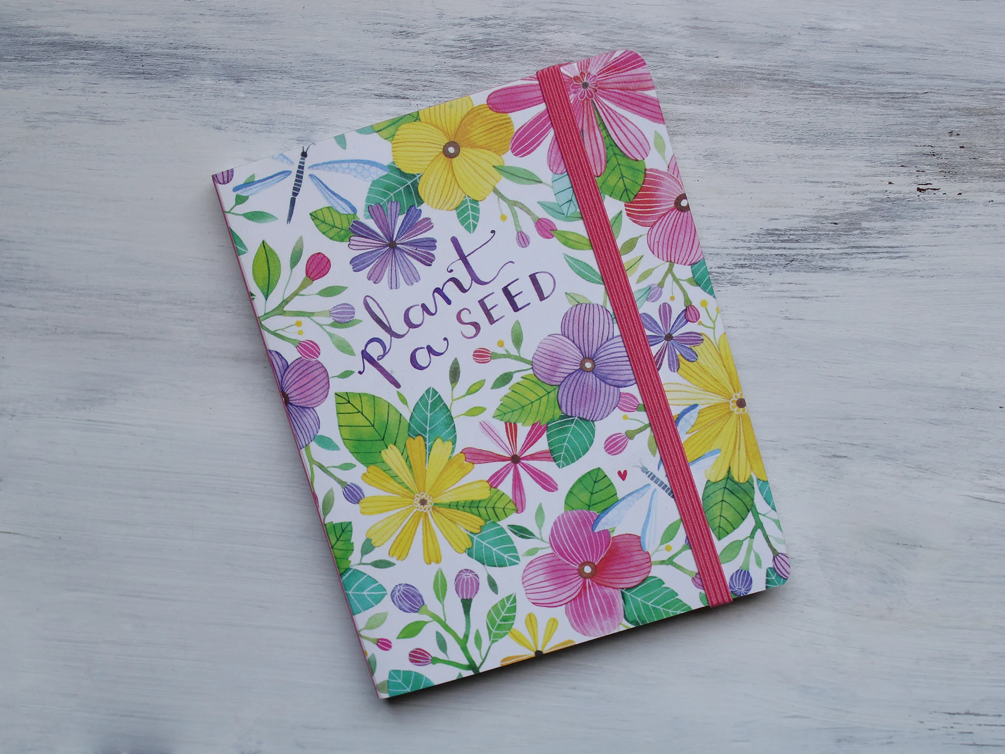 Licensing — Ana Victoria Calderon