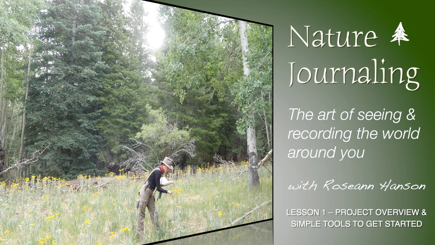 Beginning Nature Journaling Course — Exploring Overland
