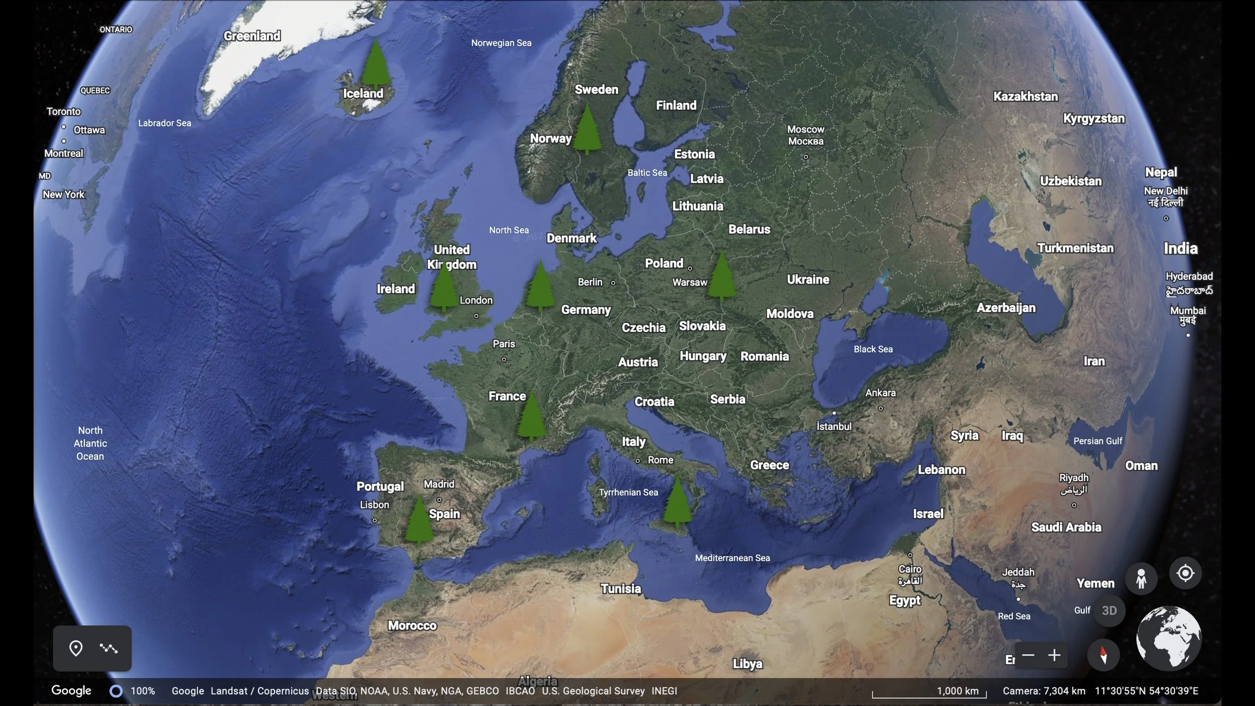 Field Arts Workshop: Around the World in 80 Trees No. 4 (Europe ...