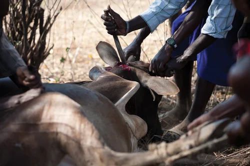 Explore – Maasai Culture East Africa — Exploring Overland