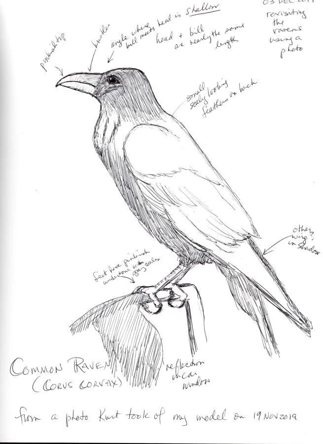 Learning to sketch with ravens — Exploring Overland