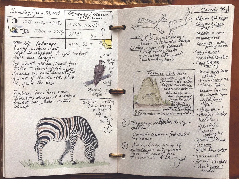Nature Journal Page Flow — Exploring Overland