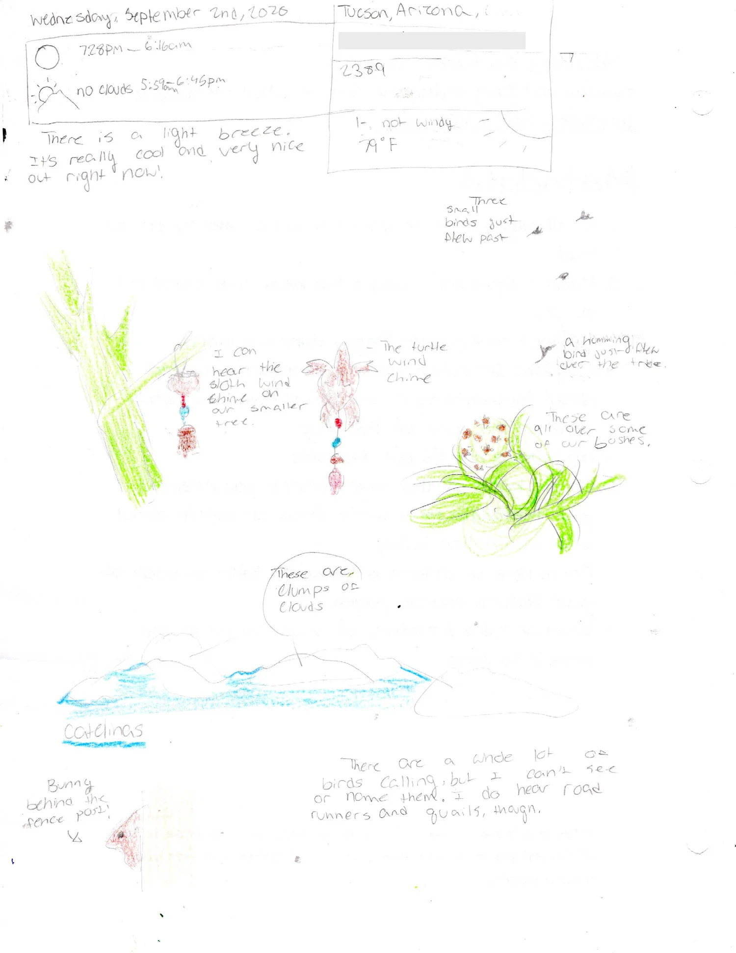 Nature journaling for all ages—Vail school kids rock it — Exploring ...