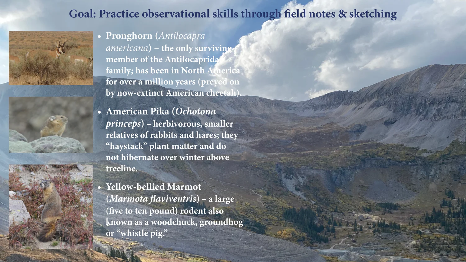 Virtual Field Trip: Mountains and Mesas — Exploring Overland